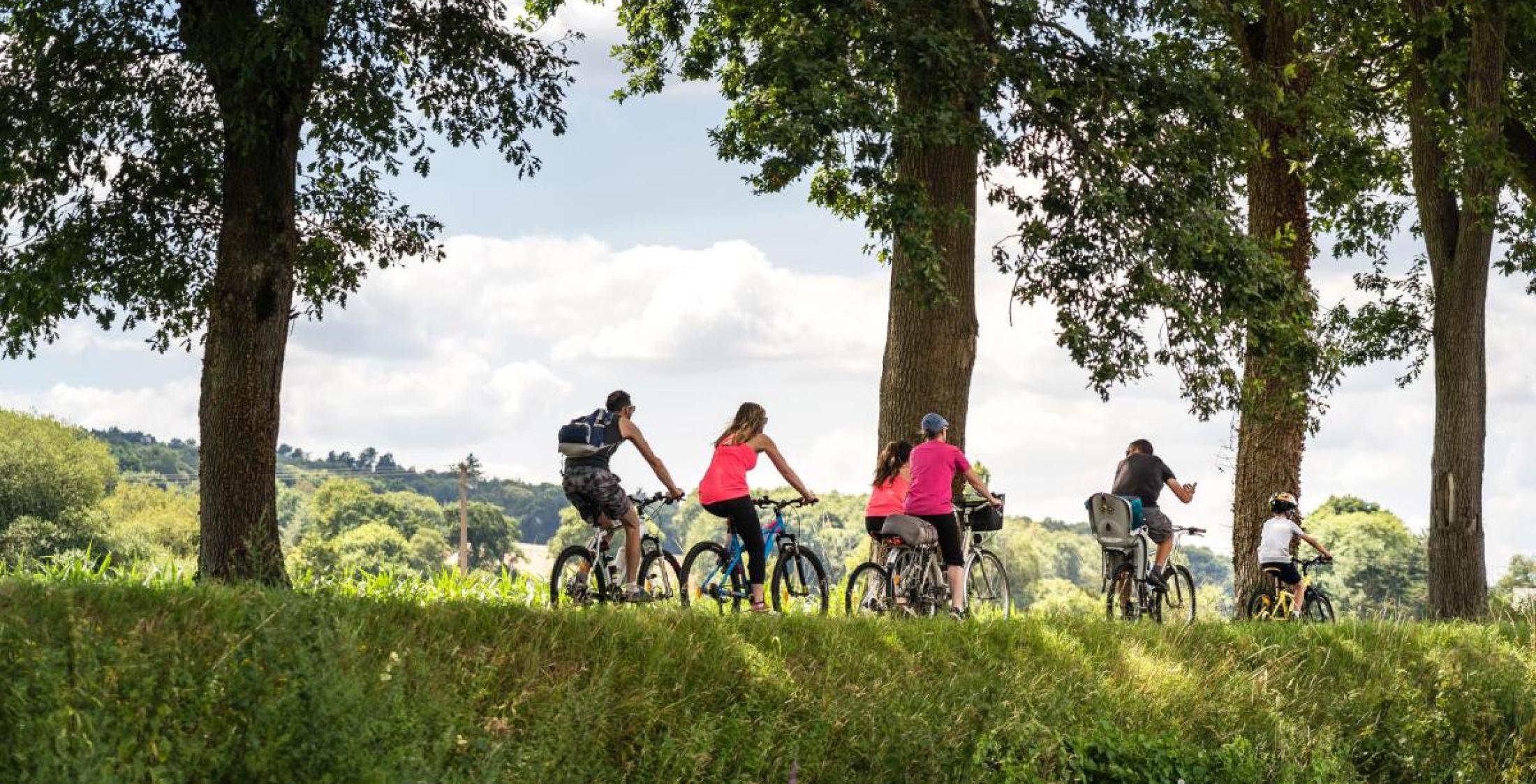 Fietsknooppunten netwerk | Visit Halle